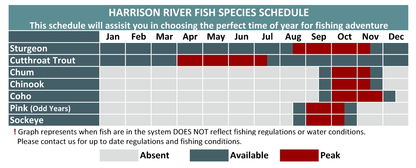 Harrison River - Great River Fishing Adventures